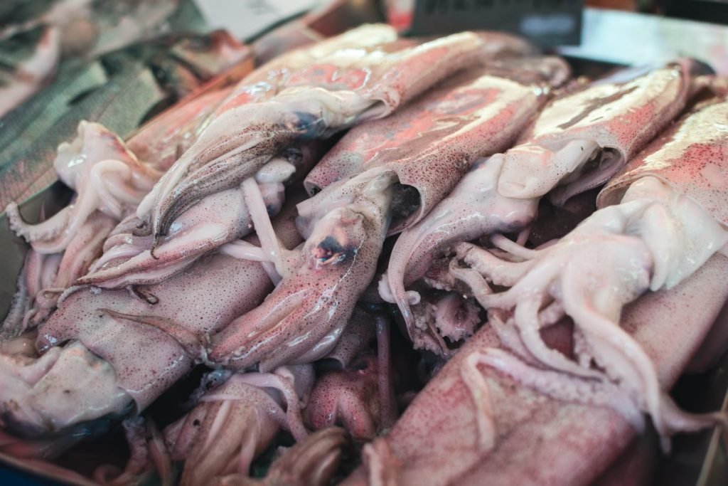 Raw squid at a fish market | Pictures of food • Foodiesfeed • Food ...